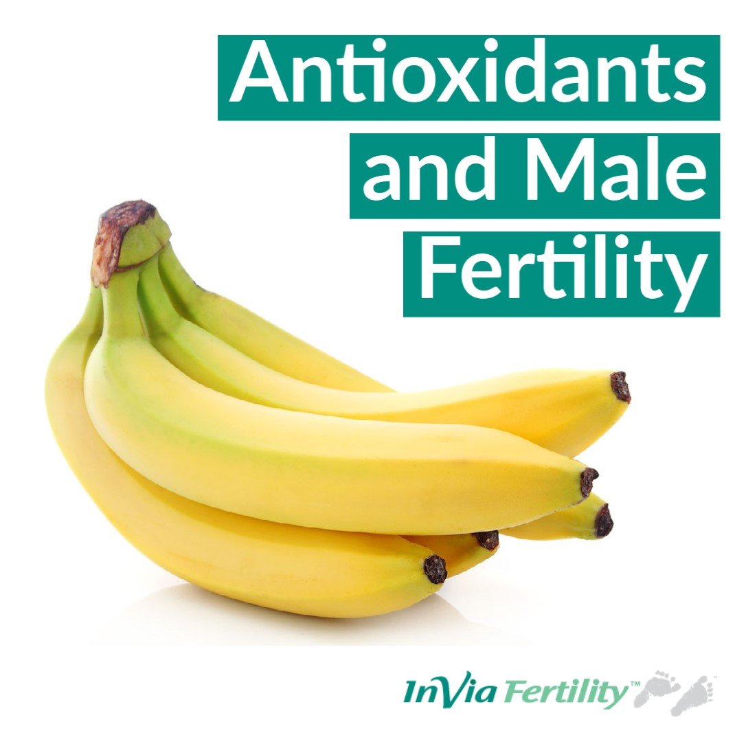 Antioxidants And Male Fertility